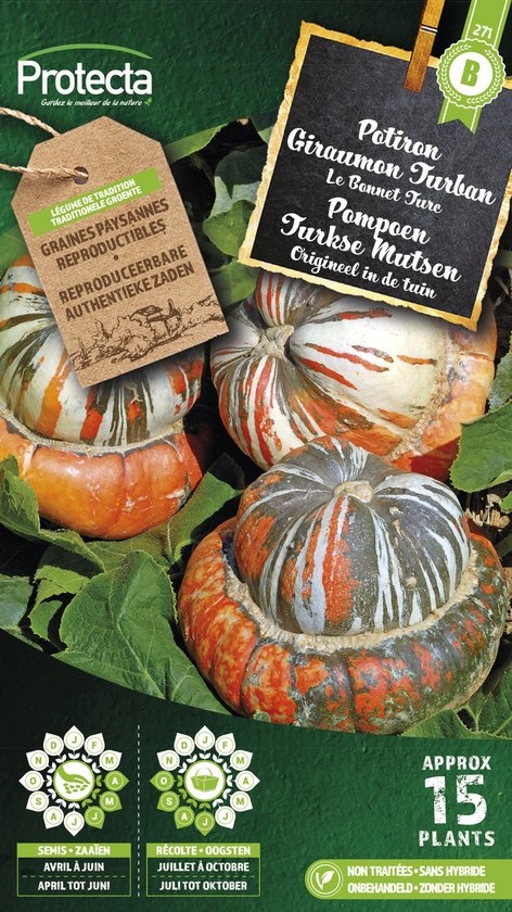 Potiron Giraumon Turban ( Protecta B ) | Central Jardin